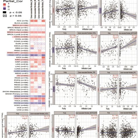 Hmgb1 Related Gene Expression And Cancer Survival Prognosis And