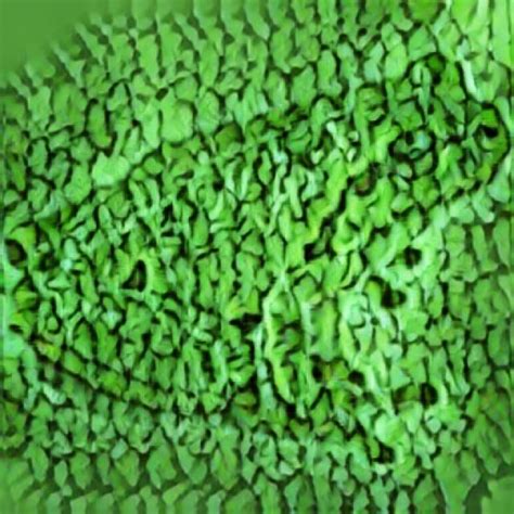 Yolo11test Object Detection Model By Yolo11