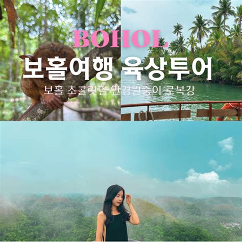 필리핀 보홀 여행 육상 투어 초콜릿힐 안경원숭이 맨메이드포레스트 네이버 블로그