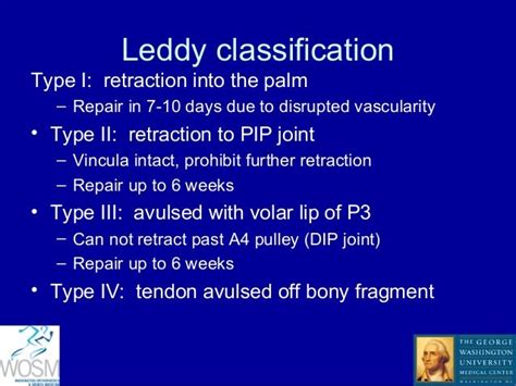 Flexor Tendon Injuries Of The Hand