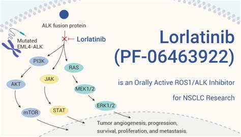 Lorlatinib Is An Orally Active Ros1 Alk Inhibitor For Nsclc Research
