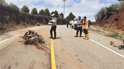 Bayi 4 Bulan Tewas Dalam Kecelakaan Di Tol Pandaan Malang Minibus
