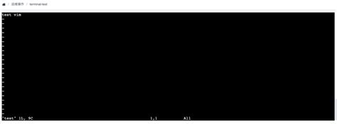 xterm websocket jsch实现web端ssh 墨天轮
