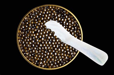 Caviale: cos'è, quanto costa e come sceglierlo