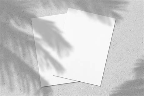 두 개의 빈 흰색 수직 직사각형 포스터 또는 손바닥 잎 그림자 카드 모형 모형에 대한 스톡 사진 및 기타 이미지 모형