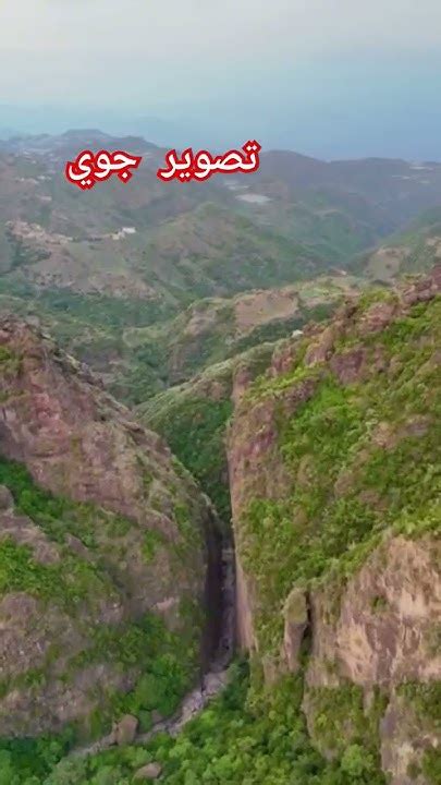 منور الشيخ حلمي Youtube