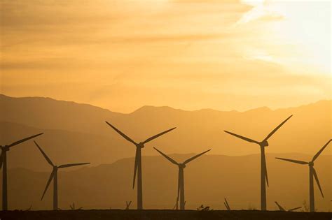 The Economic Impact Of Load Shedding A Deep Dive Into South Africas