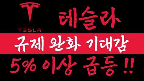 [ 테슬라 ] 규제 완화 기대감 5 이상 급등 테슬라 테슬라주가 테슬라주가전망 테슬라주식 테슬라전망 일론머스크