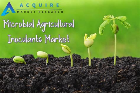 Microbial Agricultural Inoculants Market To 2023 Deep Analysis Business Strategies Driving