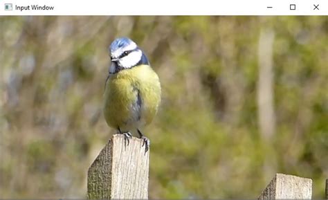 Click Response On Video Output Using Events In Opencv And Python