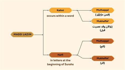Types Of Madd In Tajweed With Simple Examples Almuhammadi Academy