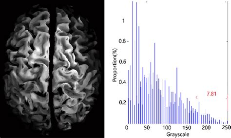 Source Image And Its Gray Histogram Download Scientific Diagram