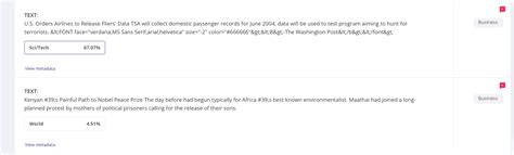 Ui Exploring Records In Text Classification Always Should Mark