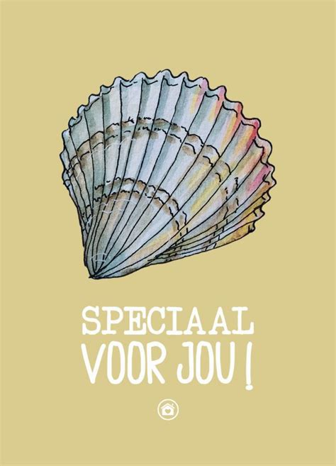 De Coupure Vlieland