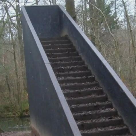 Girl Couple Having Sex At The Stairs Telegraph