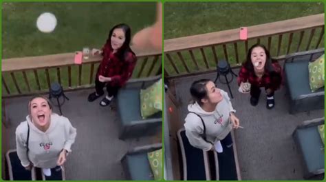 После оваа шега сигурно знаете дека вечерва ќе спиете на каучот Мотика