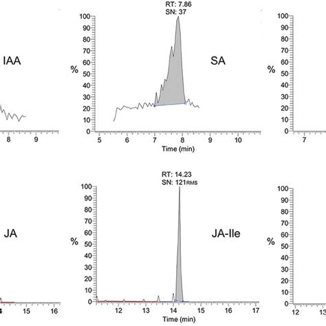 Selected Reaction Monitoring Srm Chromatograms For Various