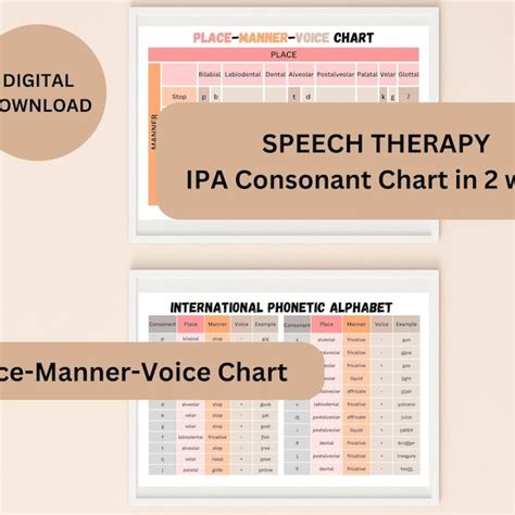 Ipa Chart Poster Etsy