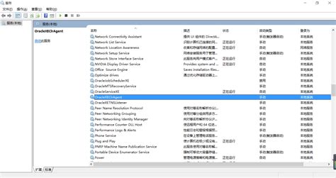 Java连接Oracle异常The Network Adapter could not establish the connection