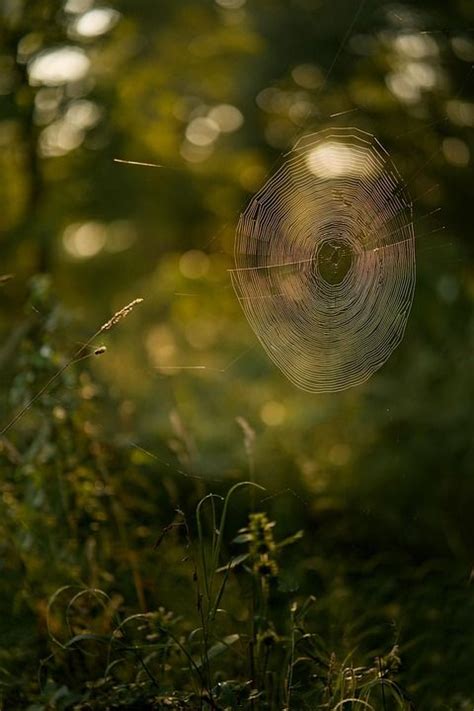 deepak wadhwa david on linkedin from idea to launch a comprehensive