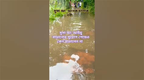 মুসা আঃ বেশি আইয়ু নেওয়ার সুযোগ পেয়েও কেন নিলেন না নবী মুসার জীবন