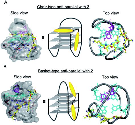 Linear Consecutive Hexaoxazoles As G4 Ligands Inducing Chair Type Anti