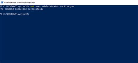Delete Defaultuser On Windows In Different Ways