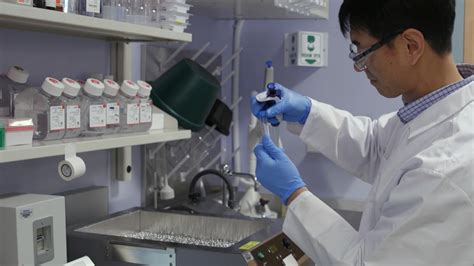 Video Single Cell Rna Sequencing And Analysis Of Human Pancreatic Islets