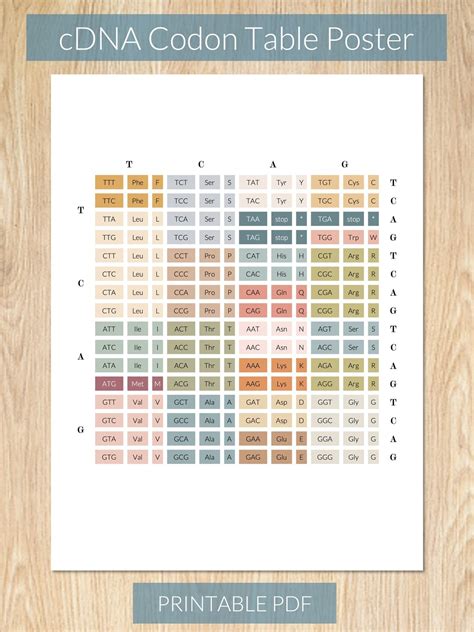 DNA Codon Table Printable Poster Etsy