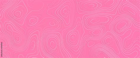 Abstract Concept Graphic Element And Geography Scheme Topographic Line Contour Map Background