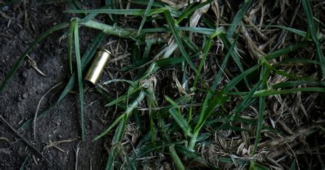 Enfrentamiento Entre El Ejército Nacional Y El Clan De Golfo En Córdoba