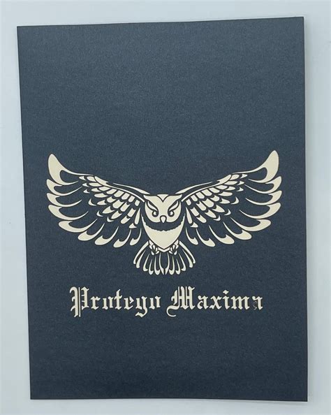 Harry Potter Hogwarts Protego Maxima Kori Ann Designs