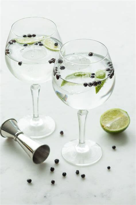 16 Great Cocktail Recipes You Should Know Gin And Tonic Cocktail