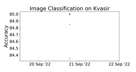 Kvasir Benchmark Image Classification Papers With Code