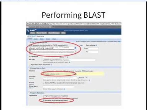How To Align Sequences Webinar 2 7 BLAST For Sequence Alignment YouTube