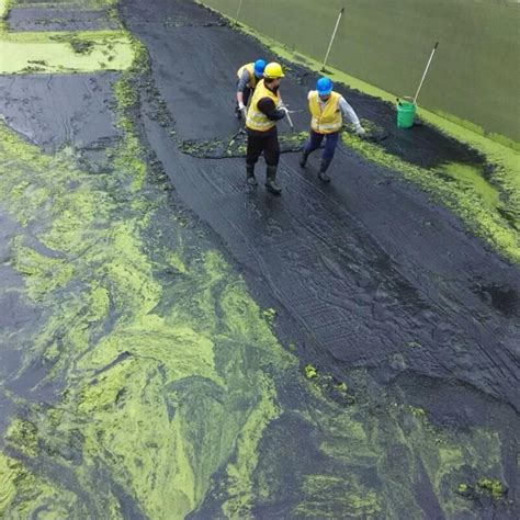 污泥监测 上海卓谱检测技术有限公司官网