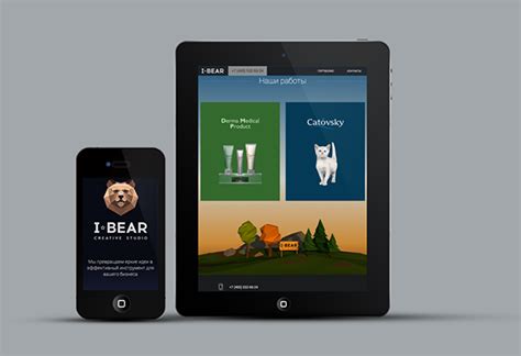 branding | 2014 | ibear.ru on Behance