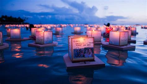 Uts Alumni Kate Fitzsimons Is A Woman On A Mission To Save As Many