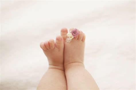 디자인스튜디오ㅡ루핀 토끼처럼 귀여운 아린이가 루핀과 만났어요 풍선과 함께 아린이와 함께한 행복한 시간 S