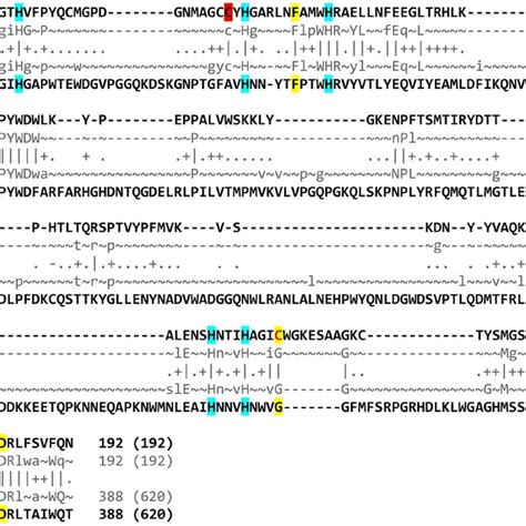Results Of Hhpred Search Pairwise Alignment And Alignment Of Consensus