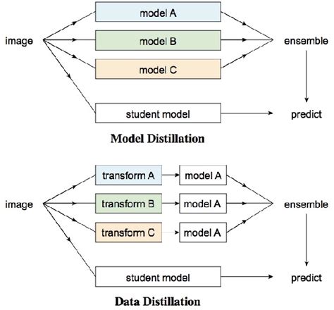 Figure 22 From Multi Scale Approaches For Pathology Image Analysis