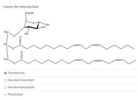 solved atpase synthesizes atp while using a proton gradient