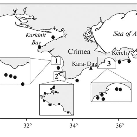 Place Of Finds Of Polydora Websteri In The Northern Part Of The Black