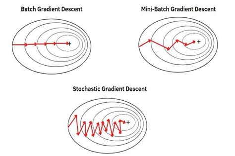 Understanding The Role Of Batch Size In Gradient Descent A Key To