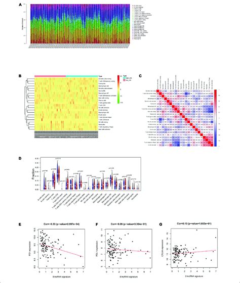 Correlation Between Risk Score And Immunity A Relative Percent Of