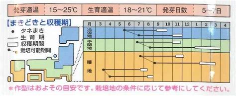 送料無料 人参 新黒田五寸 1dl（およそ22560粒） タキイ種苗野菜種人参グリーンロフトネモト直営