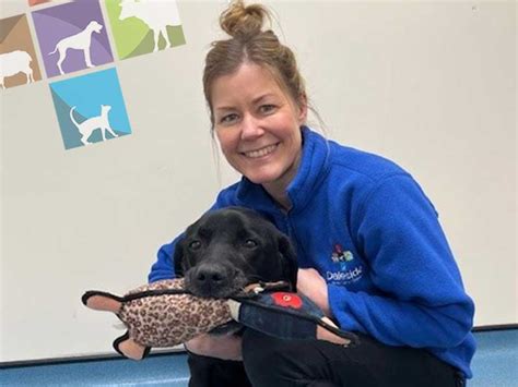 Sarah Dobbin Daleside Vets