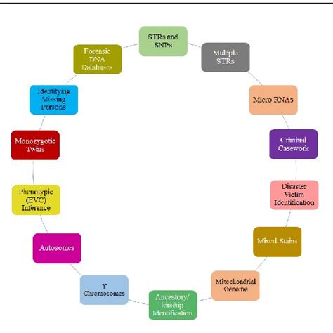Diversity Of Ngs Implementation In Forensic Analysis Download