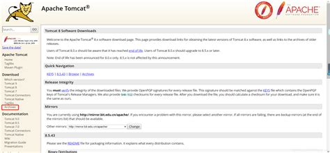 Windows10使用tomcat本地部署arcgis Api For Javascript 412arcgiswindowstomcat补丁 Csdn博客
