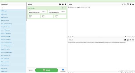 2024第十五届蓝桥杯网安赛道省赛题目 Cccyberchefcrypto蓝桥杯网络安全真题 Csdn博客